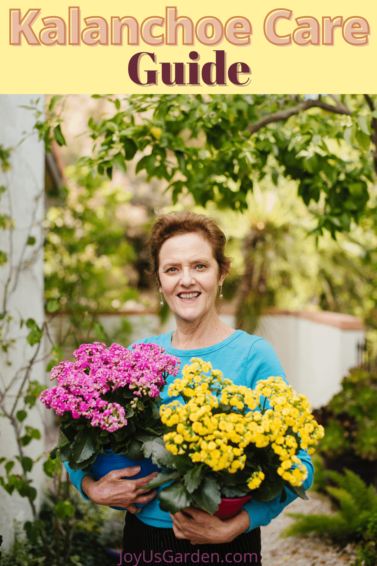 Flowering Kalanchoes: How To Grow These Blooming Succulents