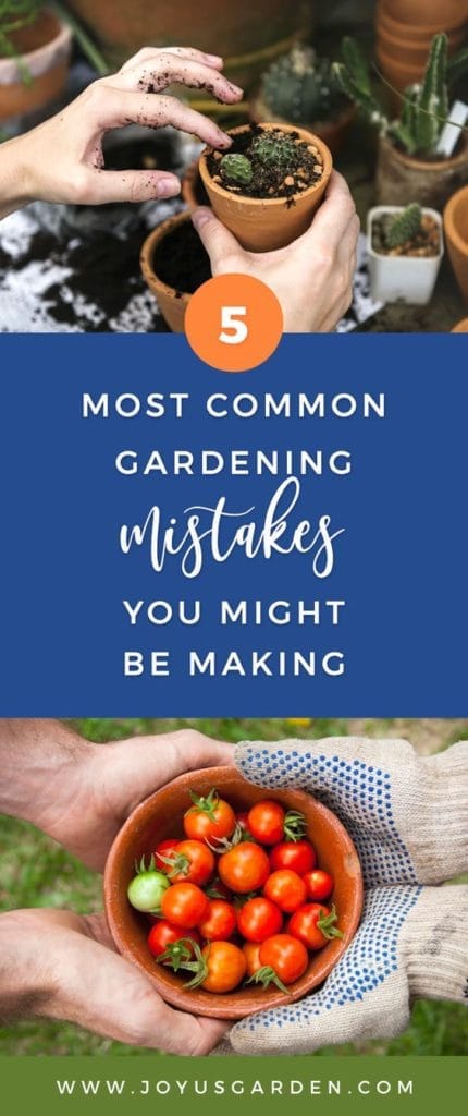 5 Common Gardening Mistakes (& How to Avoid Them) | Joy Us Garden