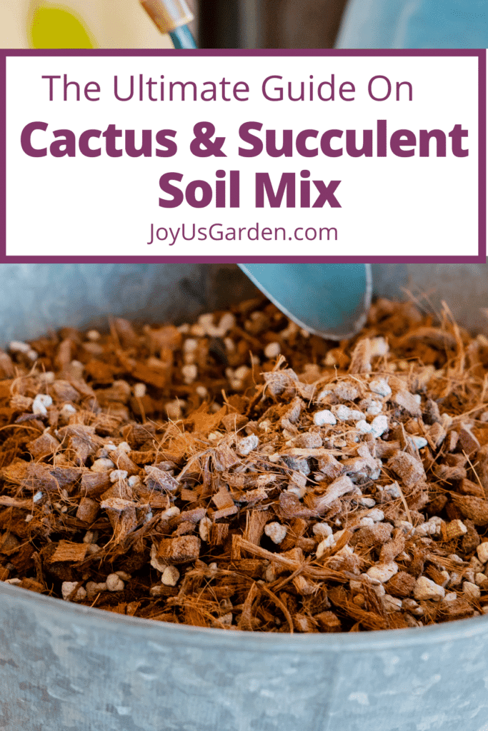 Cactus and Succulent Potting Mix: Easy Recipe For Healthy Plants