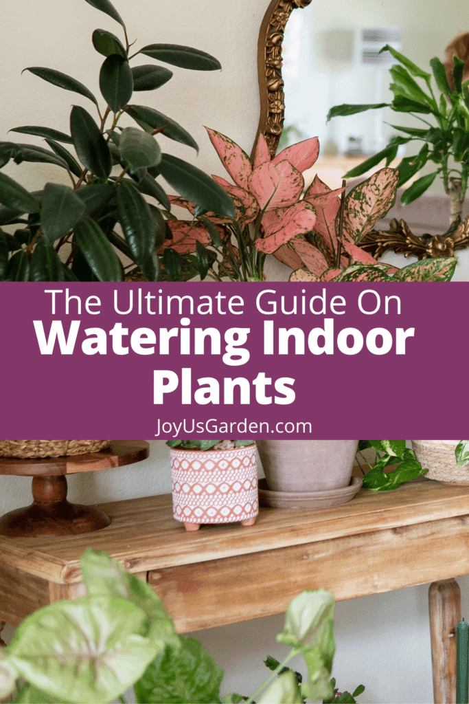 Watering Indoor Plants, A Complete Guide | Joy Us Garden