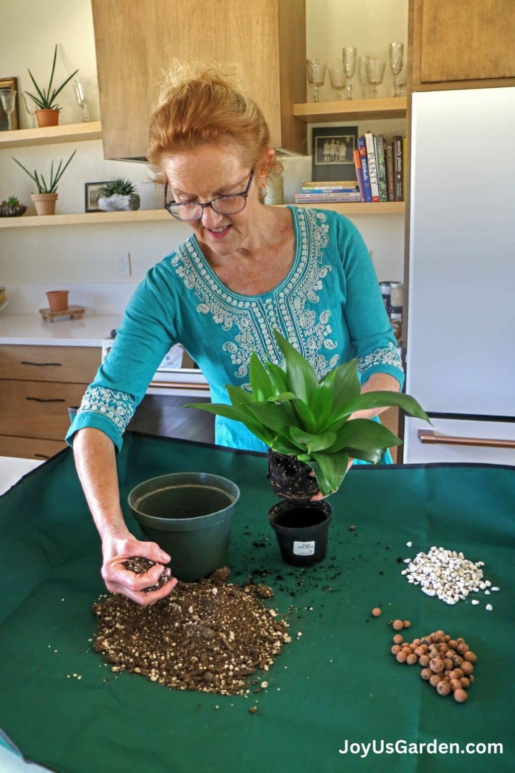 How to Repot Aloe Vera: A Guide to Repotting an Aloe Vera Plant