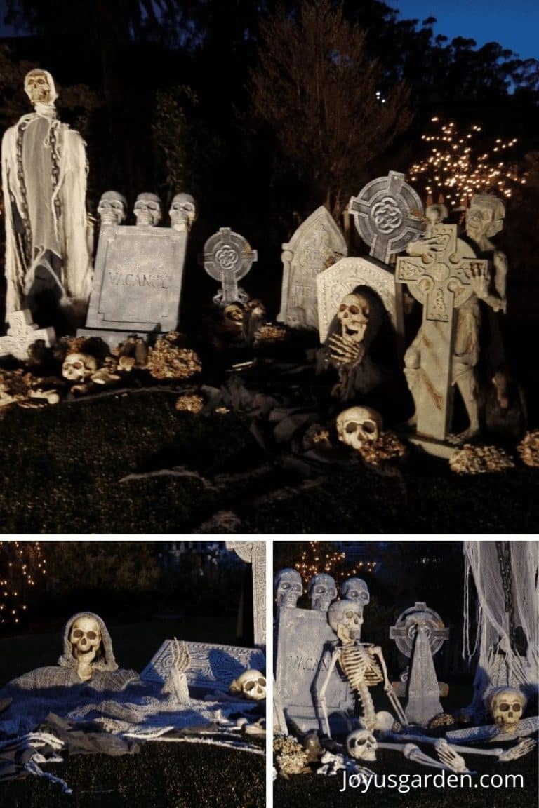 Halloween Graveyard DIY: How to Create A Spooky Halloween Cemetery