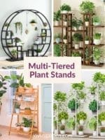 Multi-Tier Plant Stands To Buy Online