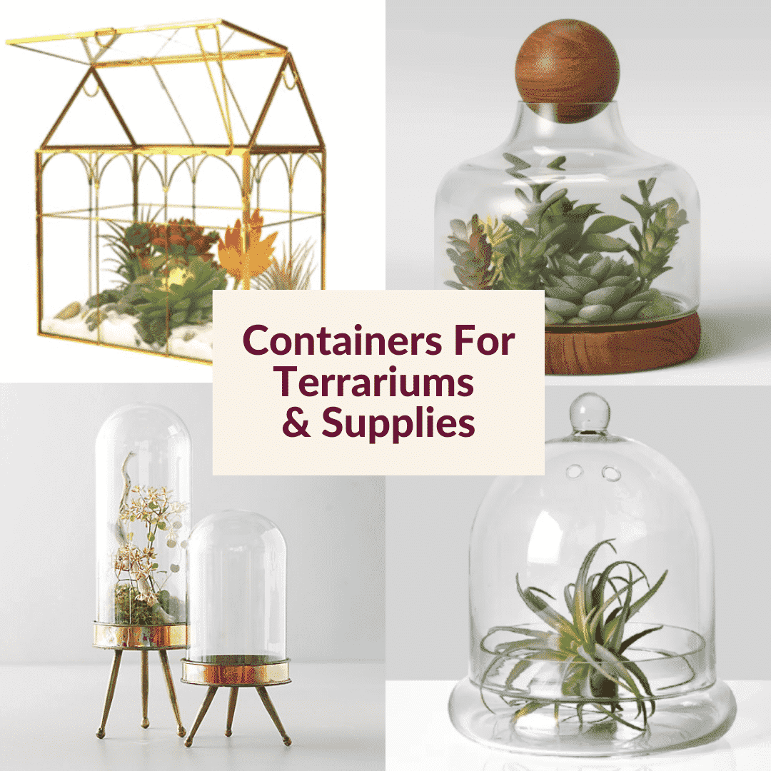 Glass Containers & Terrarium Provides - Batang Tabon