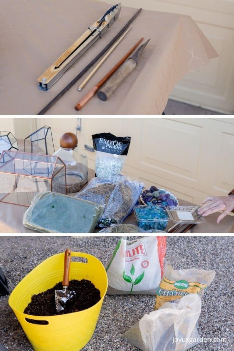 How to Make A Terrarium: 4 DIY Terrarium Ideas