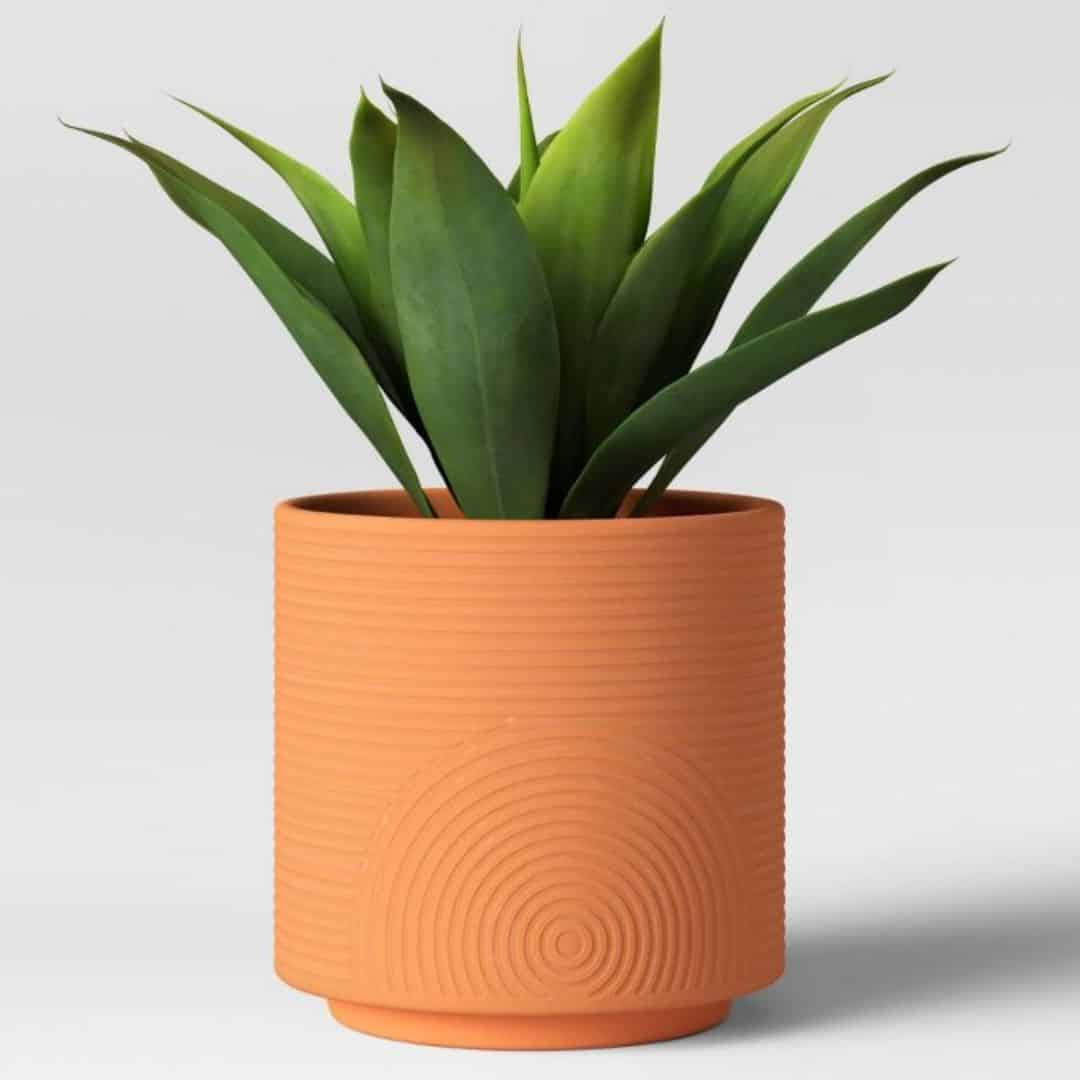 10 Classic Terracotta Pots for Houseplants You'll Love in 2022