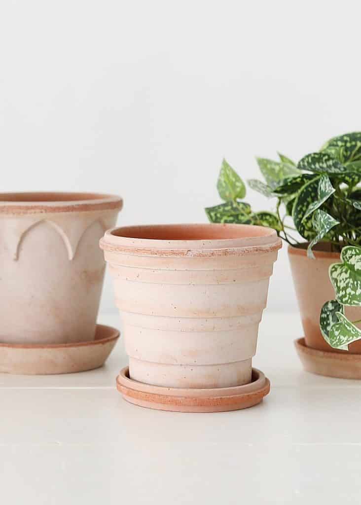 10 Classic Terracotta Pots for Houseplants You'll Love in 2022