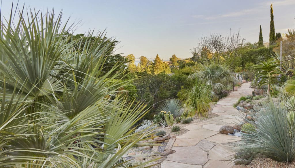 22 Beautiful Gardens in California You'll Love (2025 Guide)