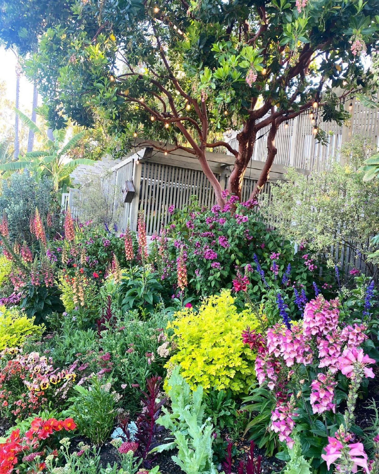 22 Beautiful Gardens in California You'll Love (2025 Guide)