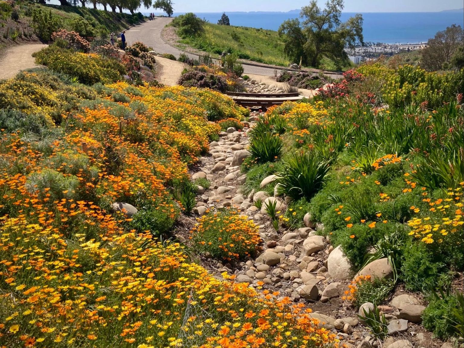 22 Beautiful Gardens in California You'll Love (2025 Guide)