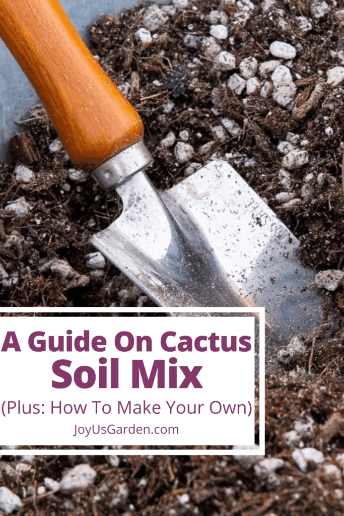 Cactus Soil Mix (+ How To Make Your Own) (2025 Guide)