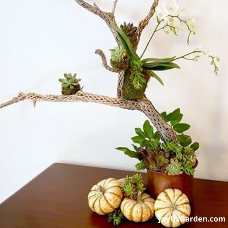 Autumn Decorating Ideas to Grace Your Home this Fall