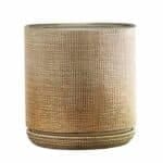 Pots For Snake Plants: A Sanseveria Pot Shopping Guide