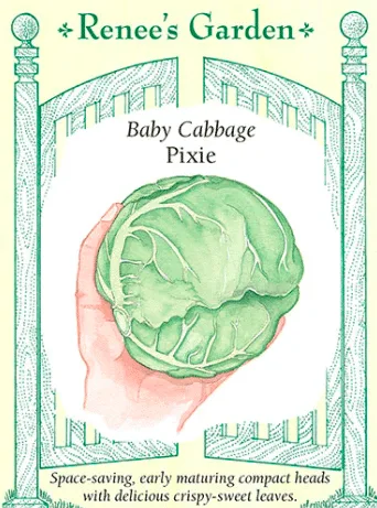 Rosemary Companion Plants: A Planting Companions Guide