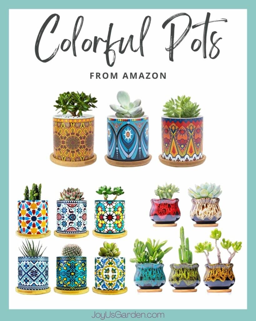 17 Indoor Plant Displays to Create a Jungle Oasis in Your Home