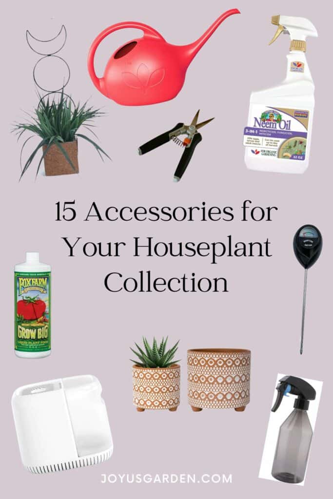 Essentials For Indoor Plants: 16 Indoor Gardening Must Haves