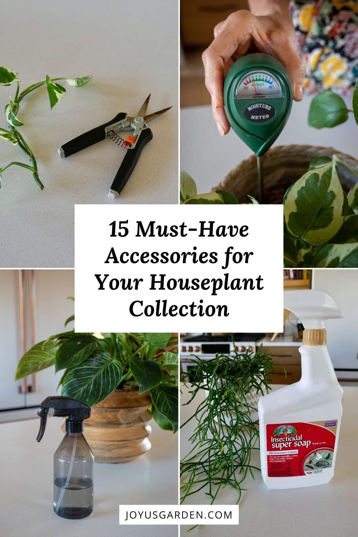 Essentials For Indoor Plants: 16 Indoor Gardening Must Haves