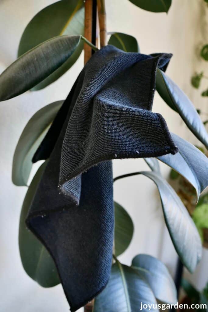 Essentials For Indoor Plants: 16 Indoor Gardening Must Haves