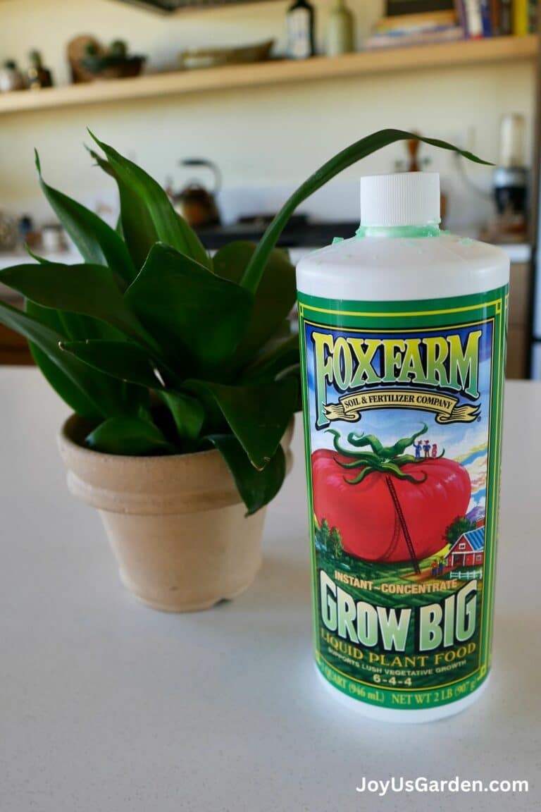 Essentials For Indoor Plants: 16 Indoor Gardening Must Haves