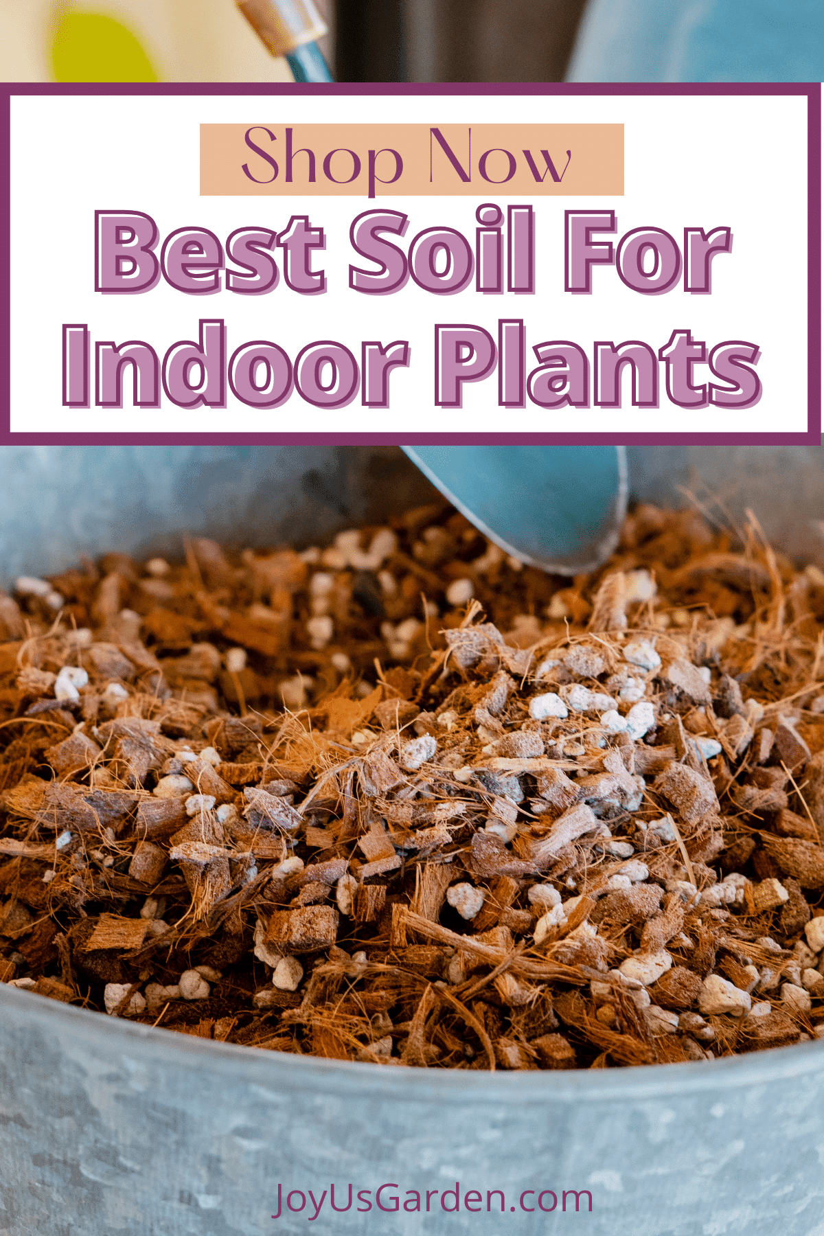 Best Soil For Indoor Plants: Potting Mix & Amendments
