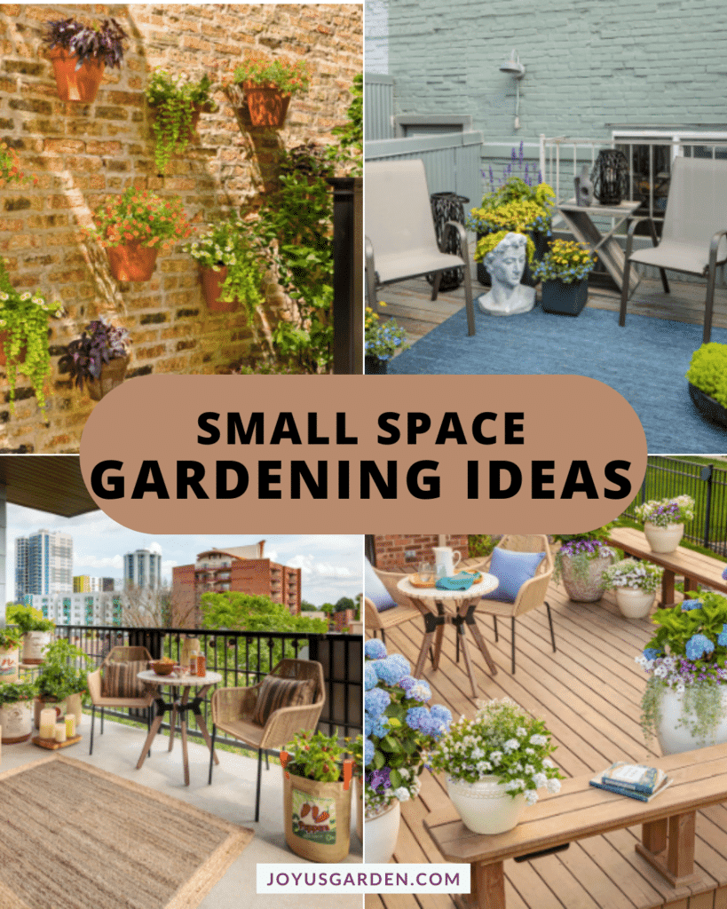 Small Space Gardening Ideas Tips For Small Garden Spaces