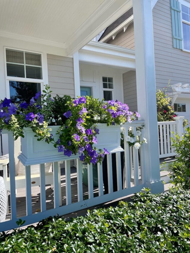 Front Porch Planter Displays: 20 Ideas To Brighten Your Entry