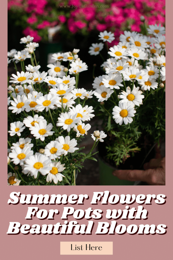 23 Best Flowers for Pots & Containers that Bloom All Summer Long