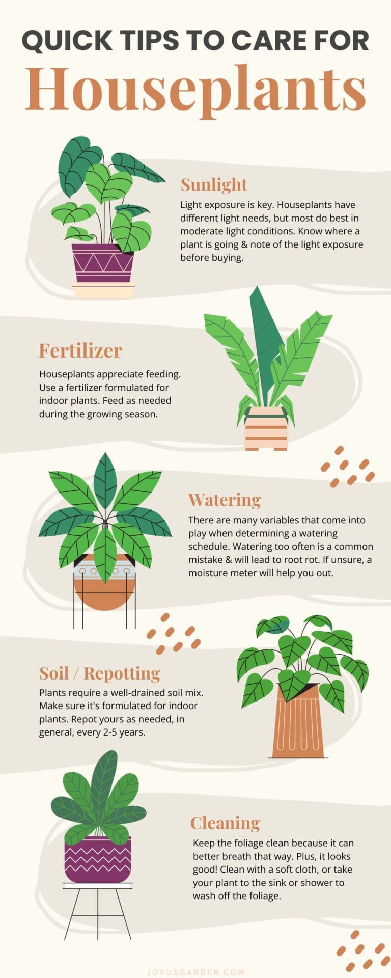 Indoor Plant Care: Top 11 Essential Tips (2025)