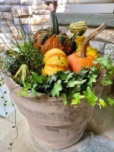 Fall Container Plantings: Top Choices For Stunning Autumn Pots