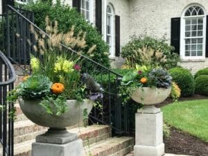 Fall Container Plantings: Top Choices For Stunning Autumn Pots