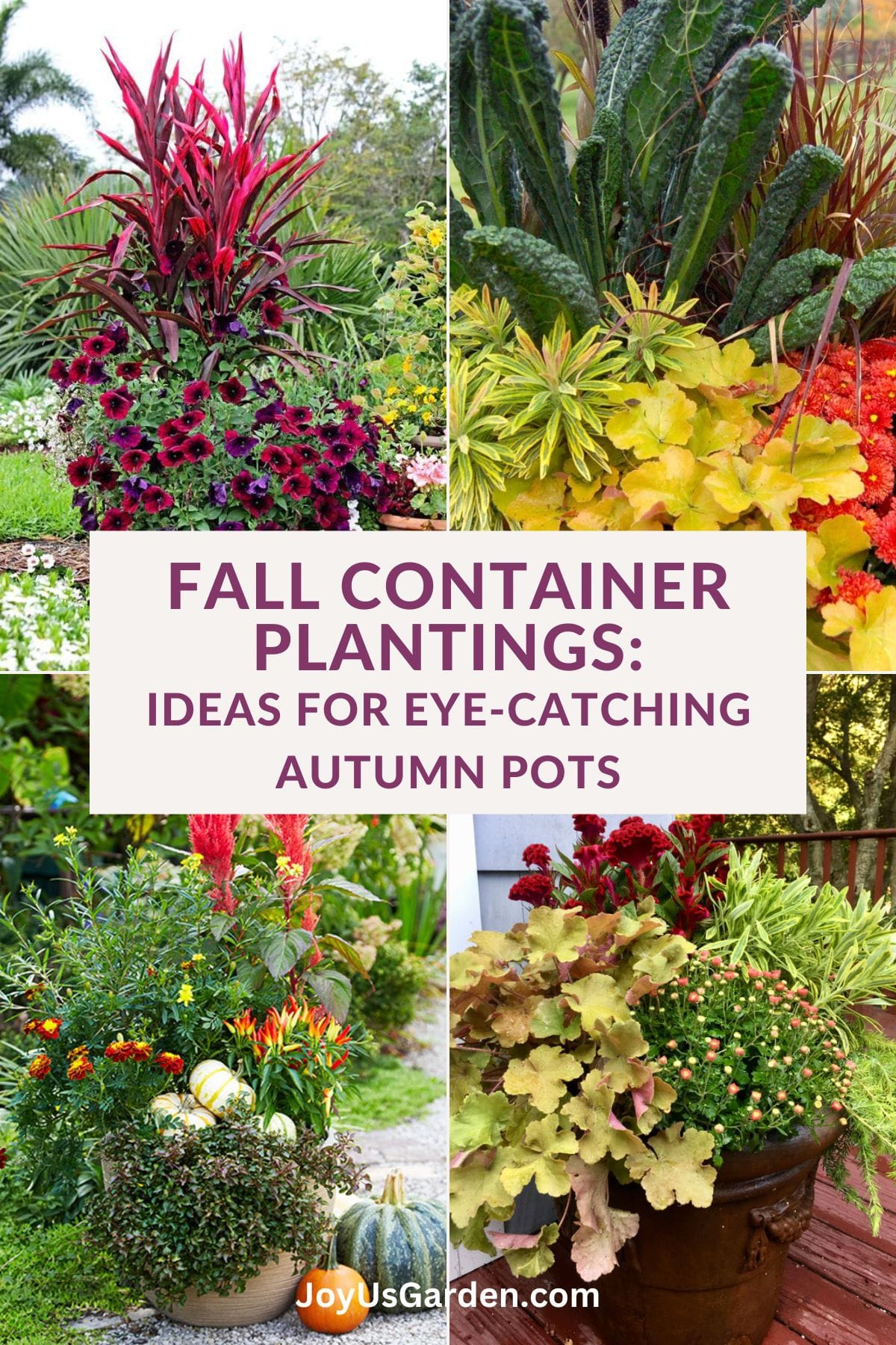 Fall Container Plantings: Top Choices For Stunning Autumn Pots