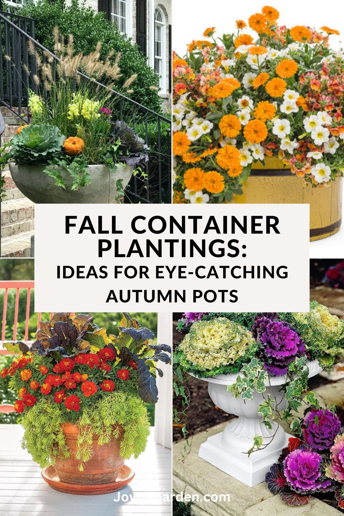 Fall Container Plantings: Top Choices For Stunning Autumn Pots