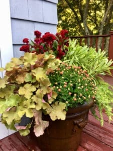 Fall Container Plantings: Top Choices For Stunning Autumn Pots