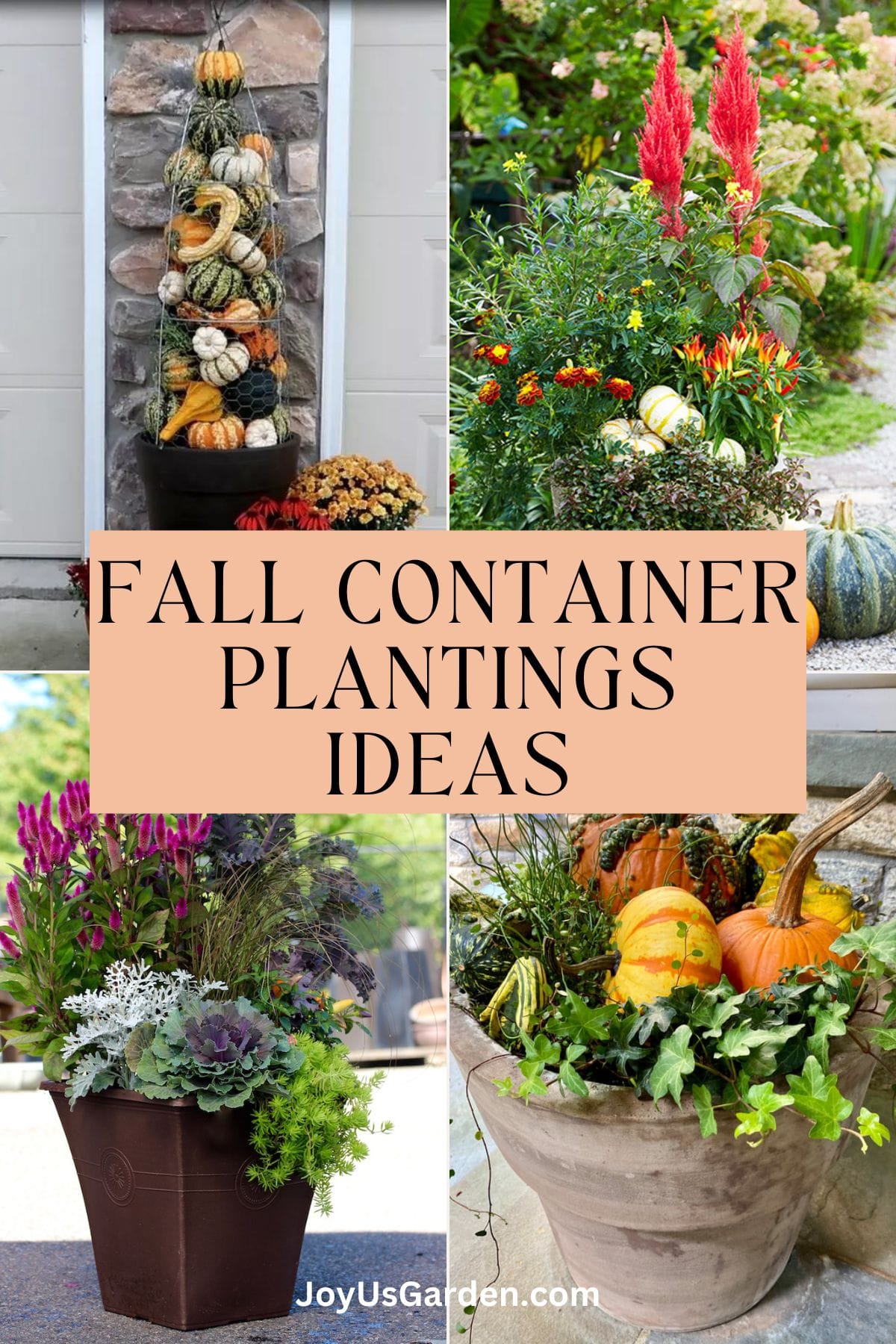 Fall Container Plantings: Top Choices For Stunning Autumn Pots