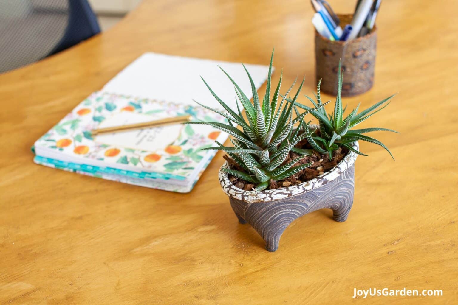 Table Plants: 14 Easy Houseplants For Home & Office