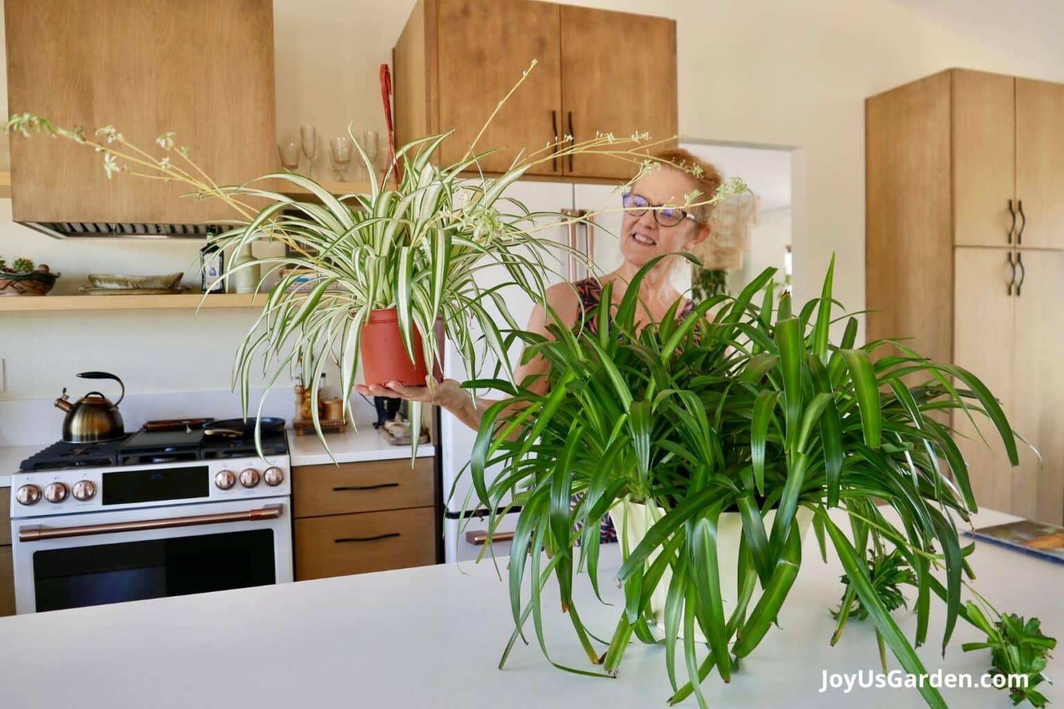 Table Plants: 14 Easy Houseplants For Home & Office